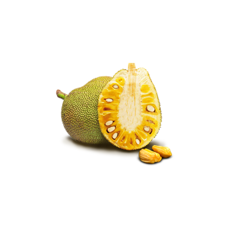 Images Of Jack Fruit This Uprooted Jackfruit Tree From Malleshwara