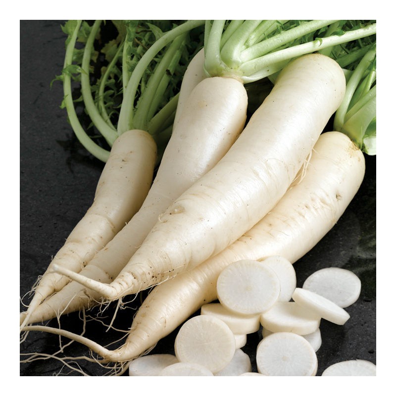 (Fresh) Mooli per pc (approx 500 gms)